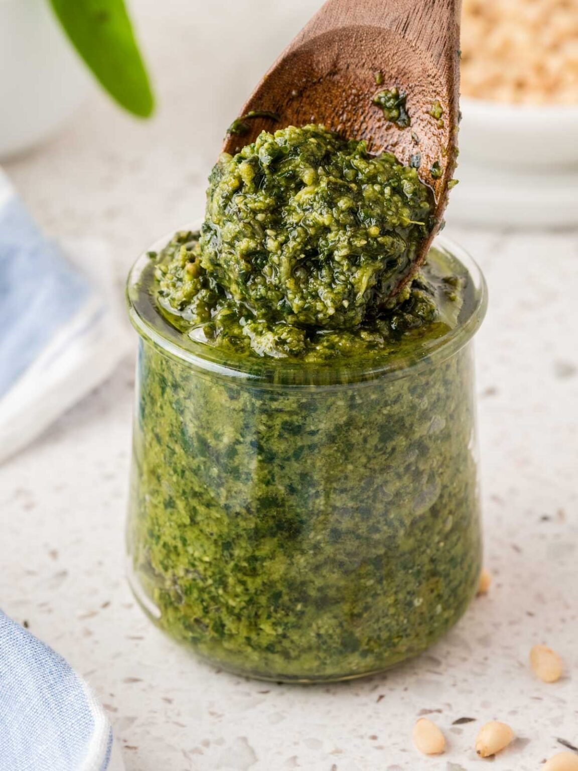 Homemade Fresh Basil Pesto Sauce Recipe - Spaghetti and Confetti