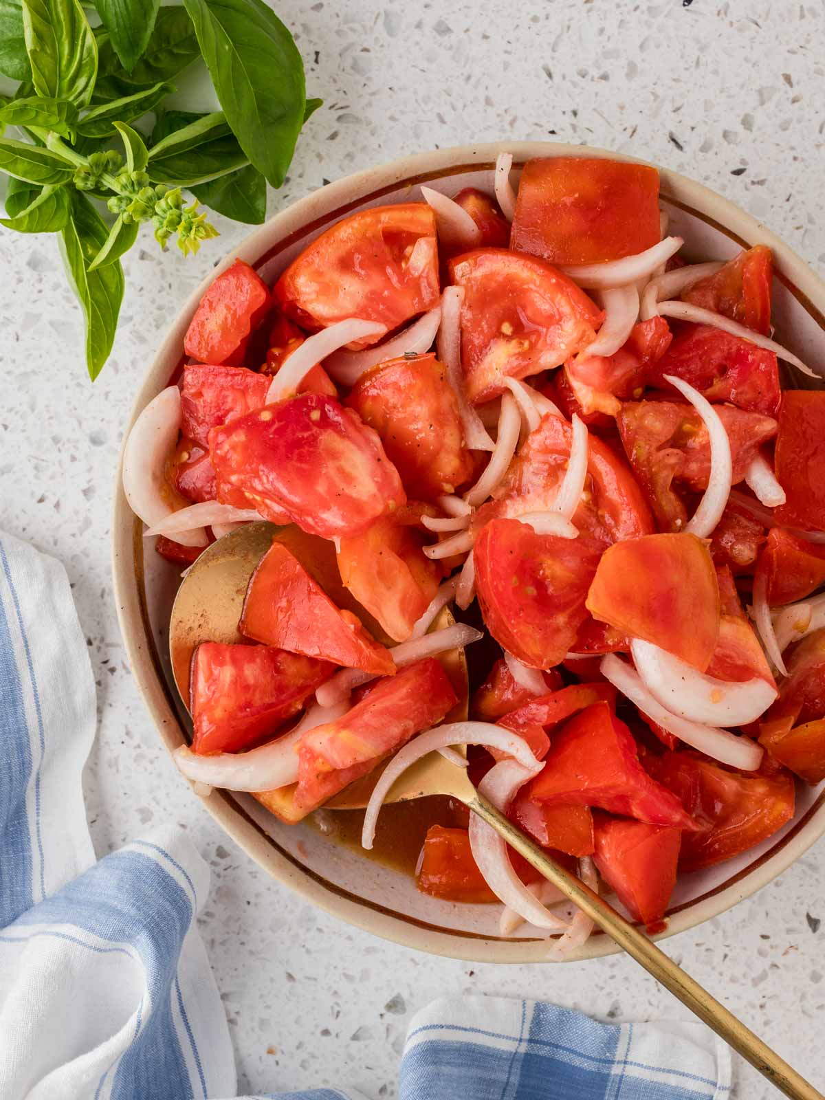 Italian Tomato Salad Recipe - Spaghetti and Confetti